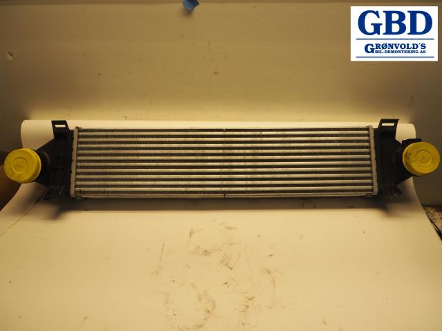 Intercooler til Land Rover Freelander, 2007-2014 (Type II)